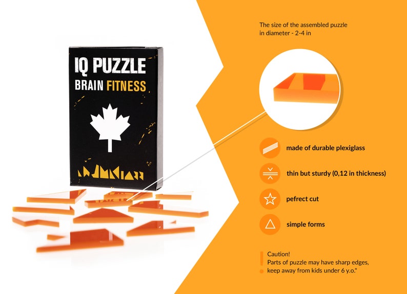 SET OF 11 Geek Toys IQ Puzzle Brain Fitness Games Brain Teaser Puzzles ...