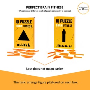 SET OF 3 Geek Toys IQ Puzzle, Brain Fitness, Brain Teaser Puzzles for ...