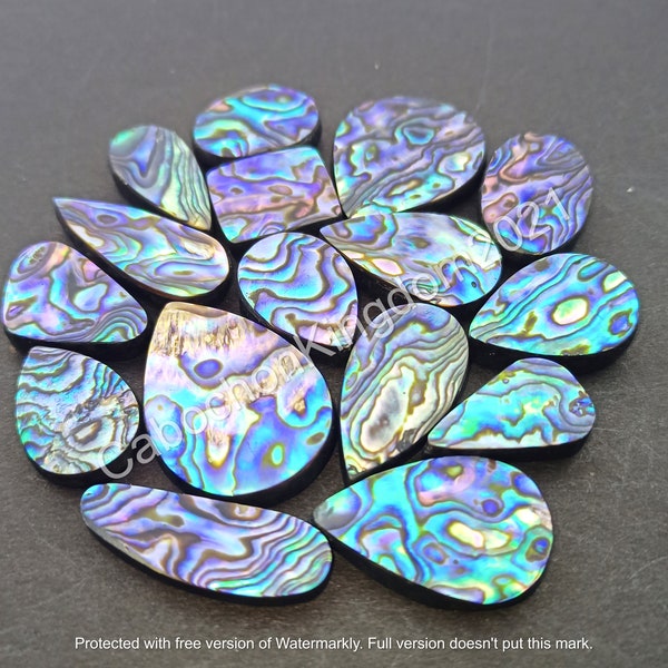 Abalone Shell - Etsy