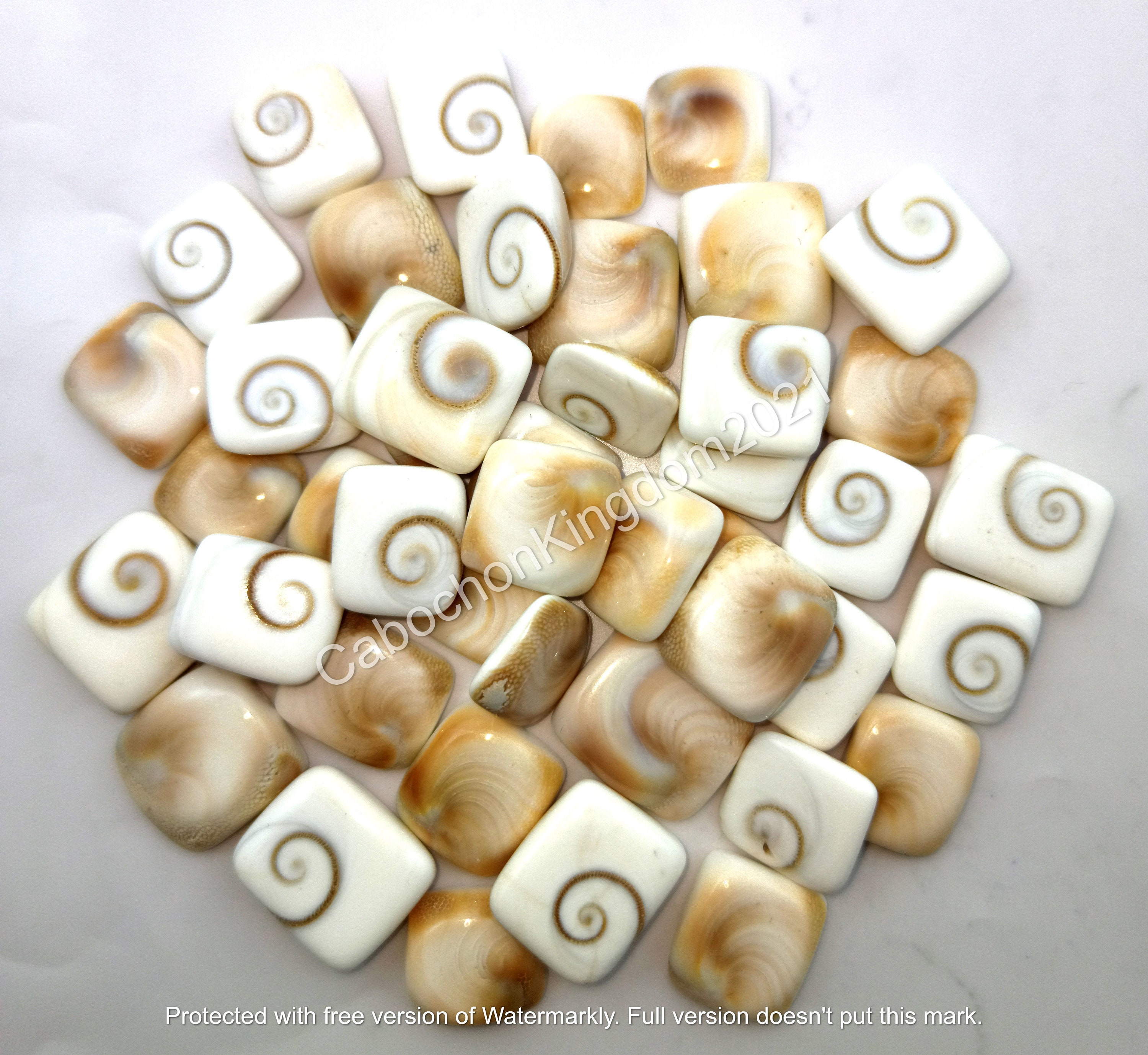 Natural Shiva Eye Shell Rectangle Shape Gemstone Cabochon Shiva Eye ...