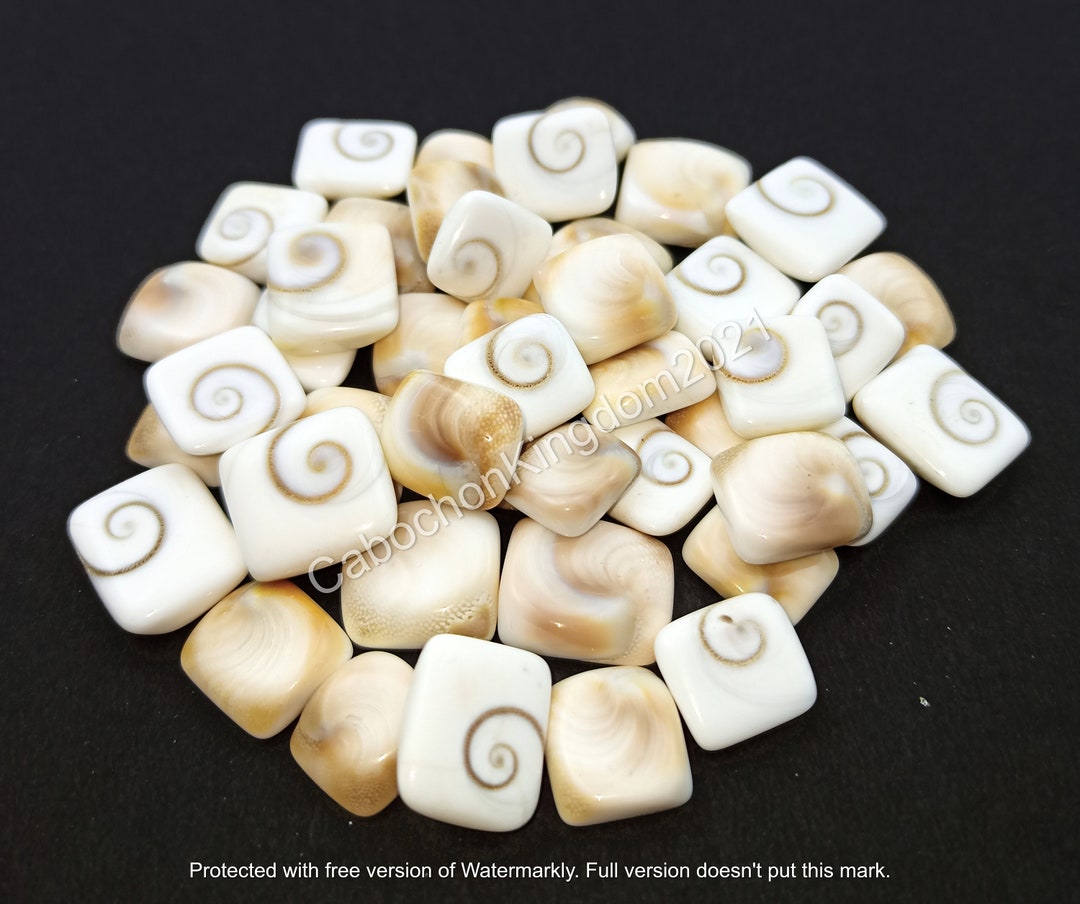 Natural Shiva Eye Shell Rectangle Shape Gemstone Cabochon - Shiva Eye ...