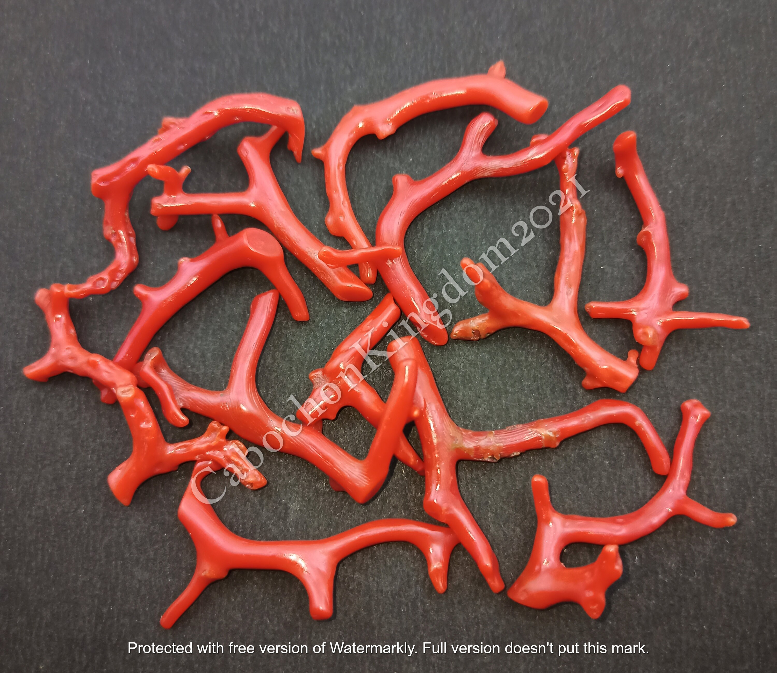 Natural Red Coral Gemstone Precious Coral, Corallium Japonicum, Branch ...