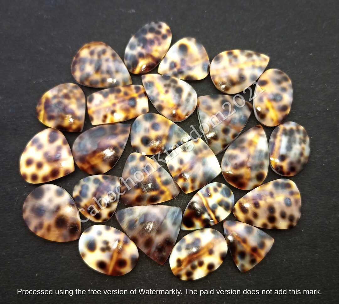 Natural Leopard Skin Shell Gemstone Cabochon - Leopard Shell Jewelry ...