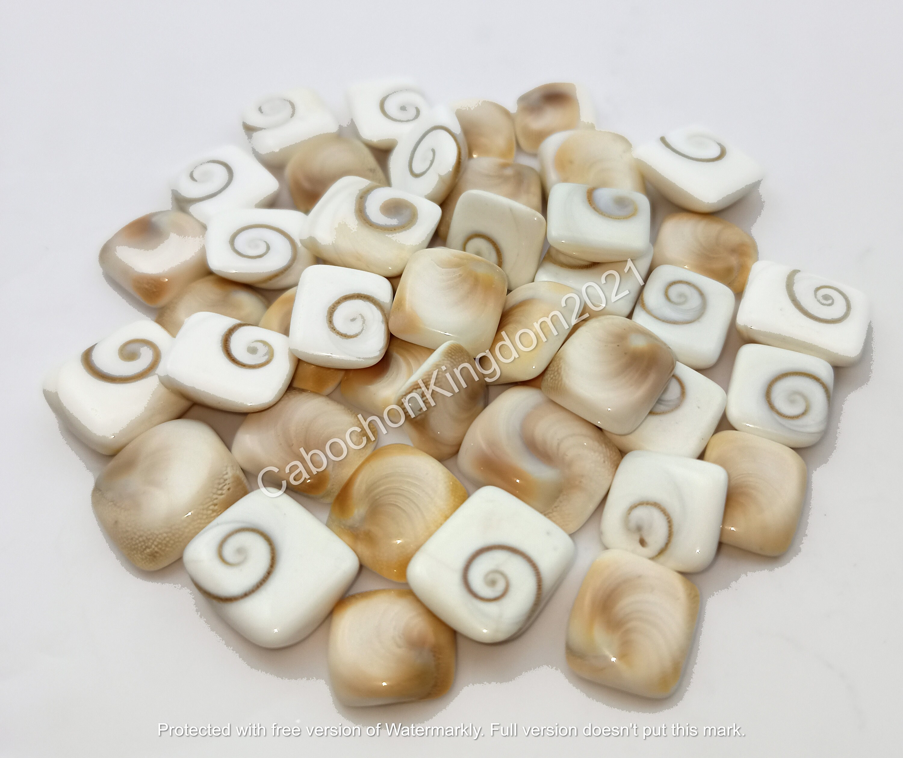 Natural Shiva Eye Shell Rectangle Shape Gemstone Cabochon Shiva Eye ...