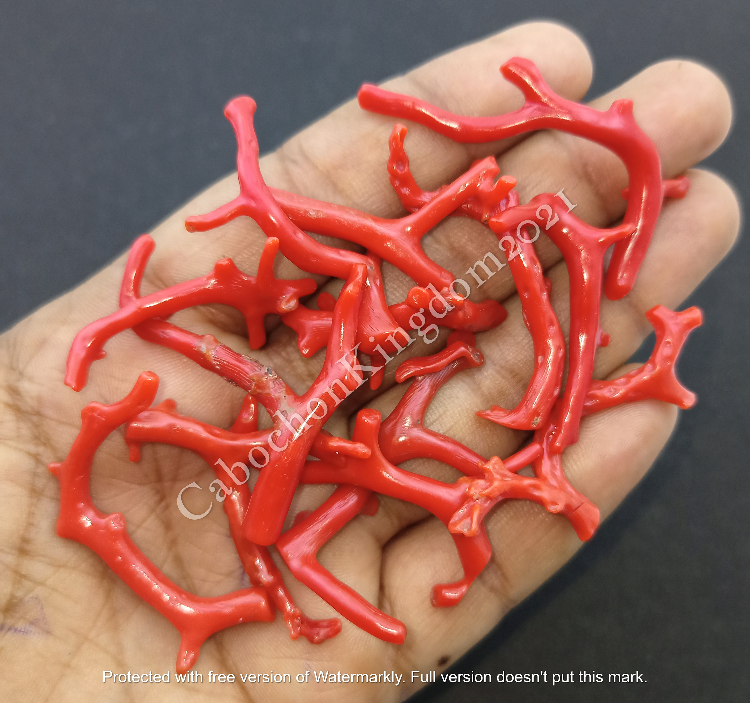 Natural Red Coral Gemstone Precious Coral, Corallium Japonicum, Branch ...