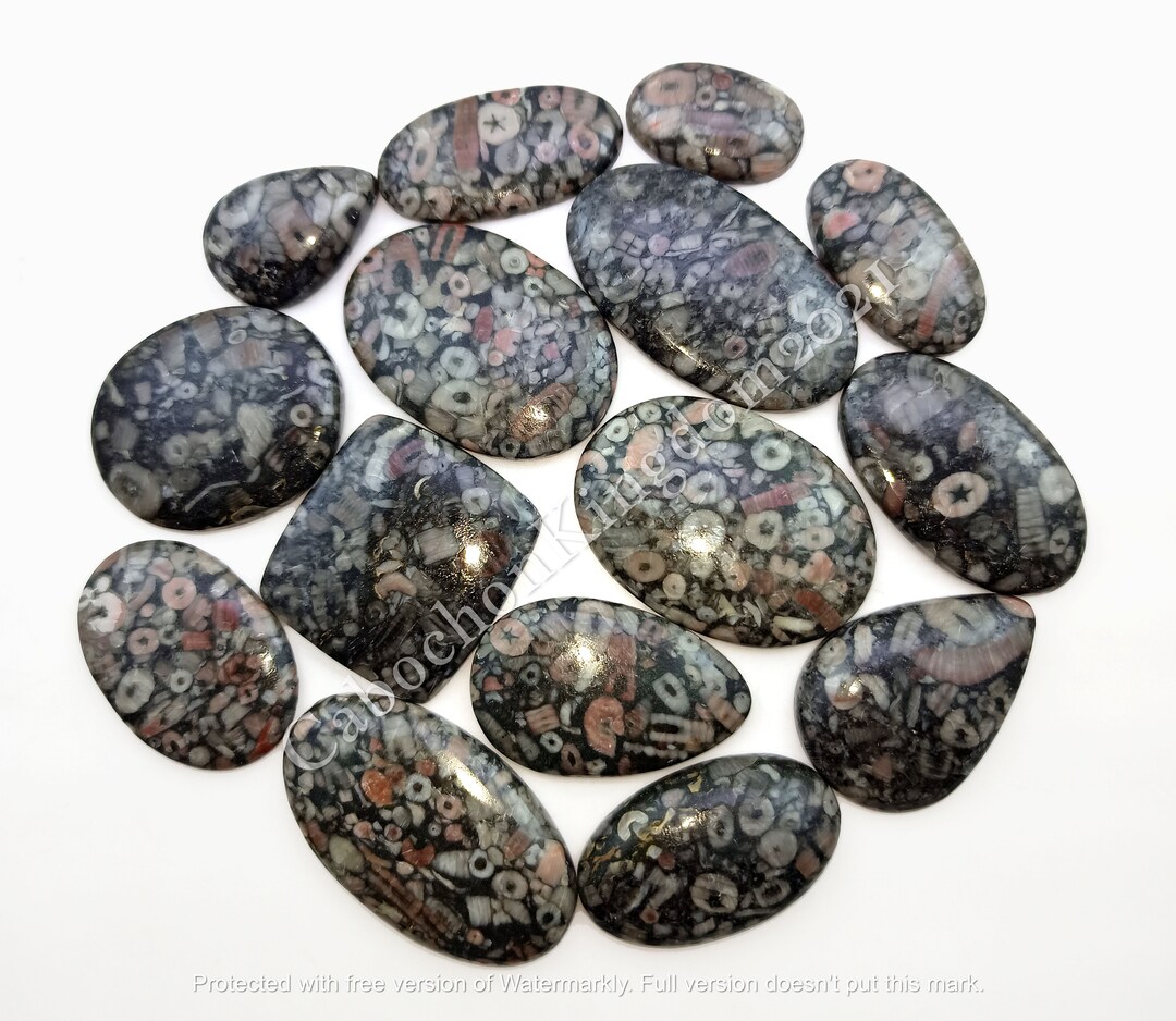Natural Crinoid Marble Fossil Gemstone Cabochon - Crinoid Marble Fossil ...