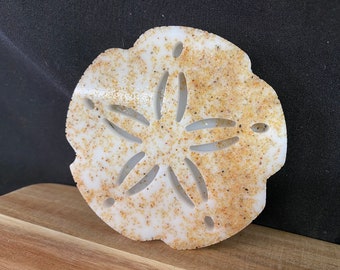 Resin Sand Dollar Coasters - Etsy