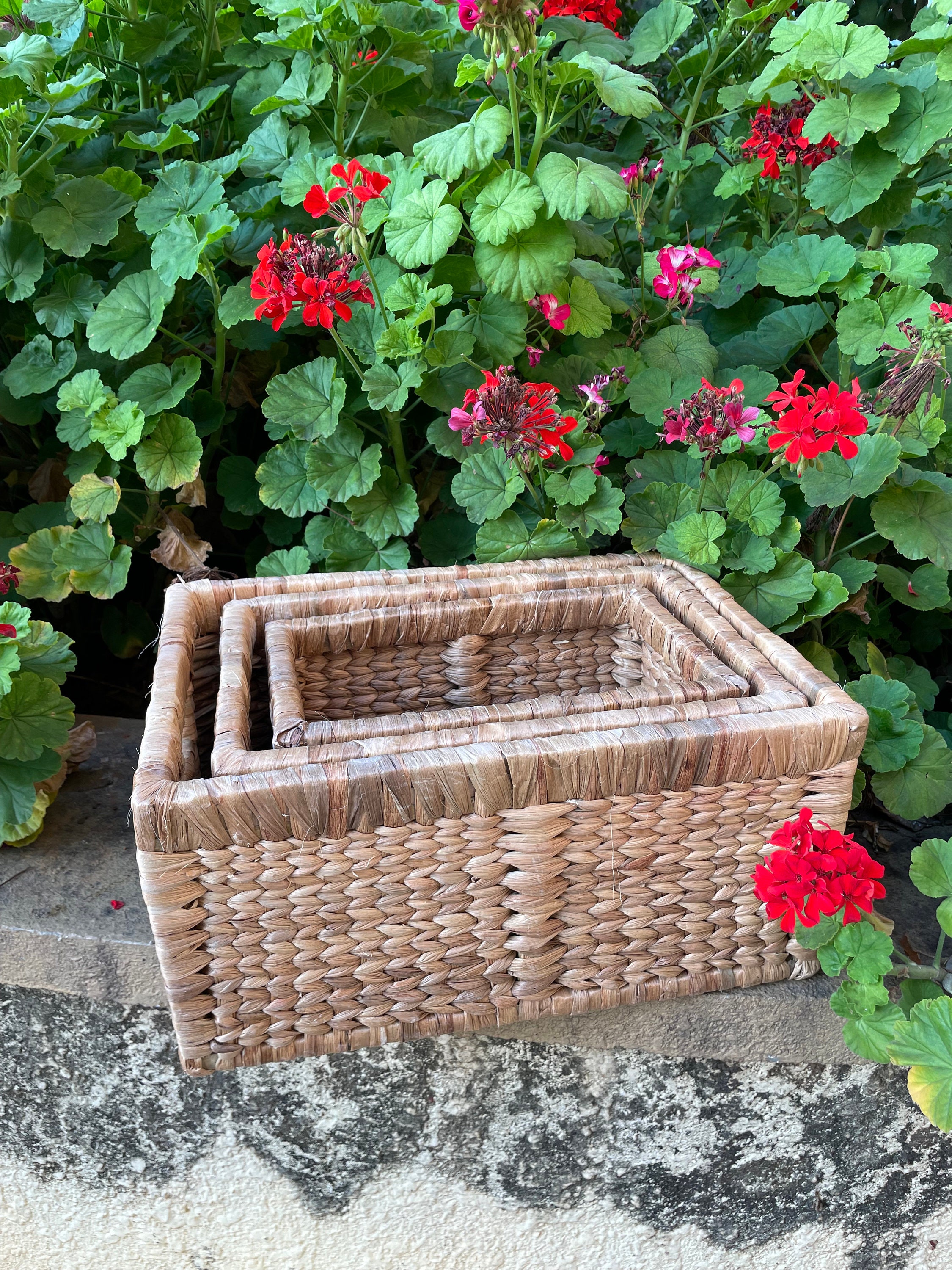 Water Hyacinth Multi-utility Basket Set of Three With Wooden Frame ...