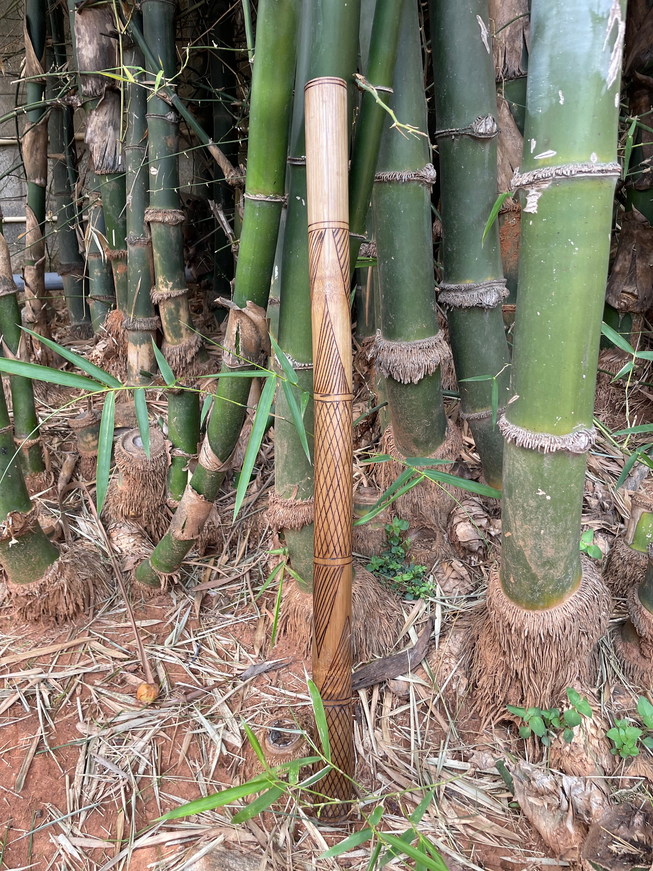 Sulur Flute From Bastar – Traditional Tribal Bamboo Flute - Handcrafted ...
