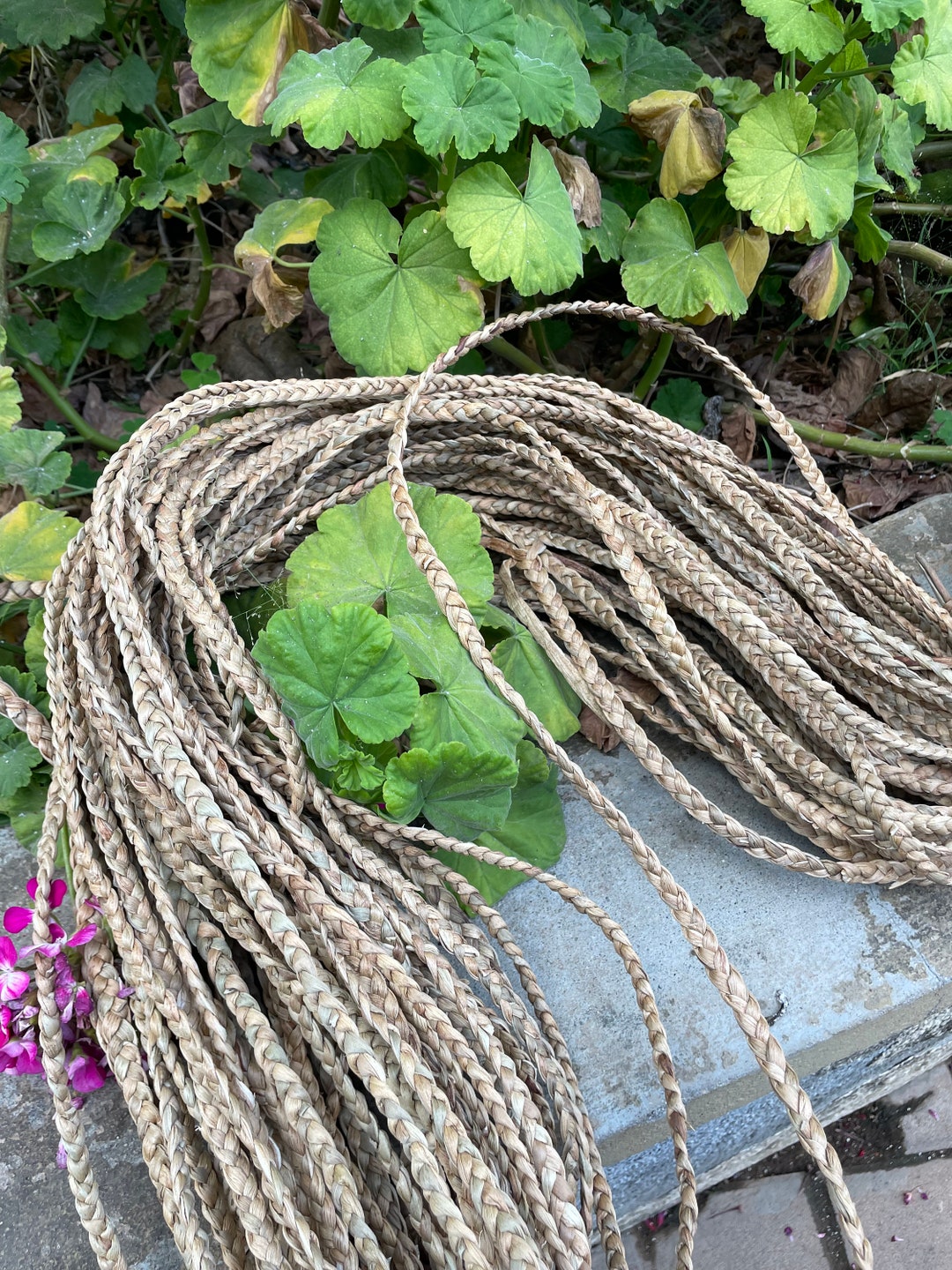 Natural Hand-braided Water Hyacinth Ropes Pack of 50 Meters - Etsy