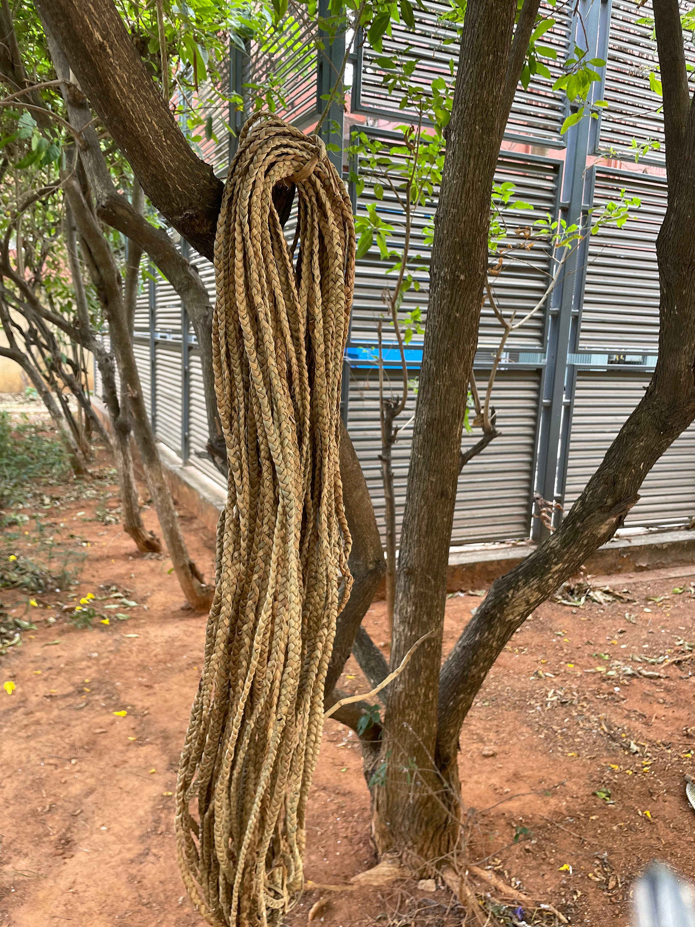 Natural Hand-braided Water Hyacinth Ropes Pack of 50 Meters - Etsy