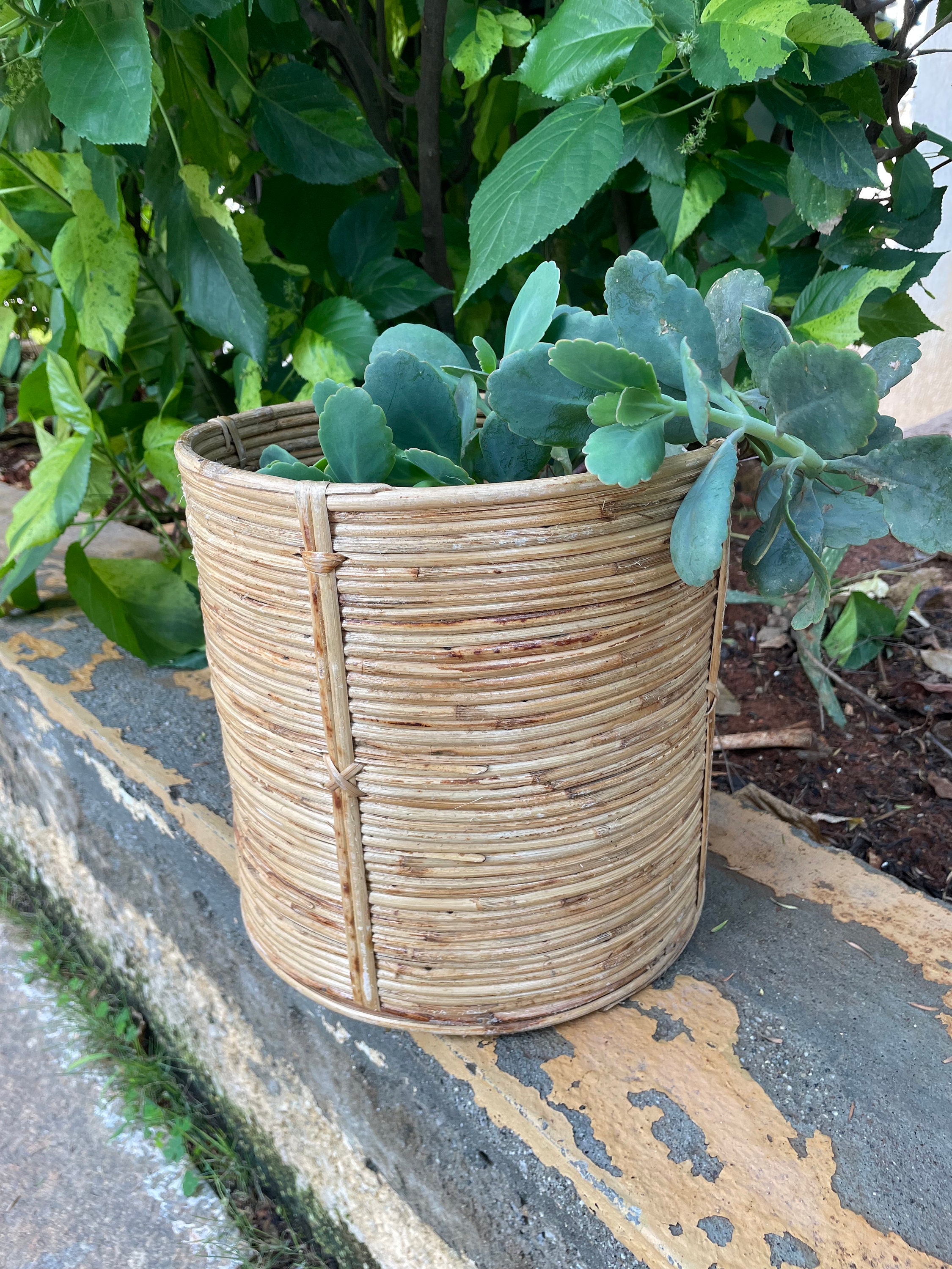 Rattan Planter Set: Versatile, Eco-friendly, and Stylish - 100% Natural ...