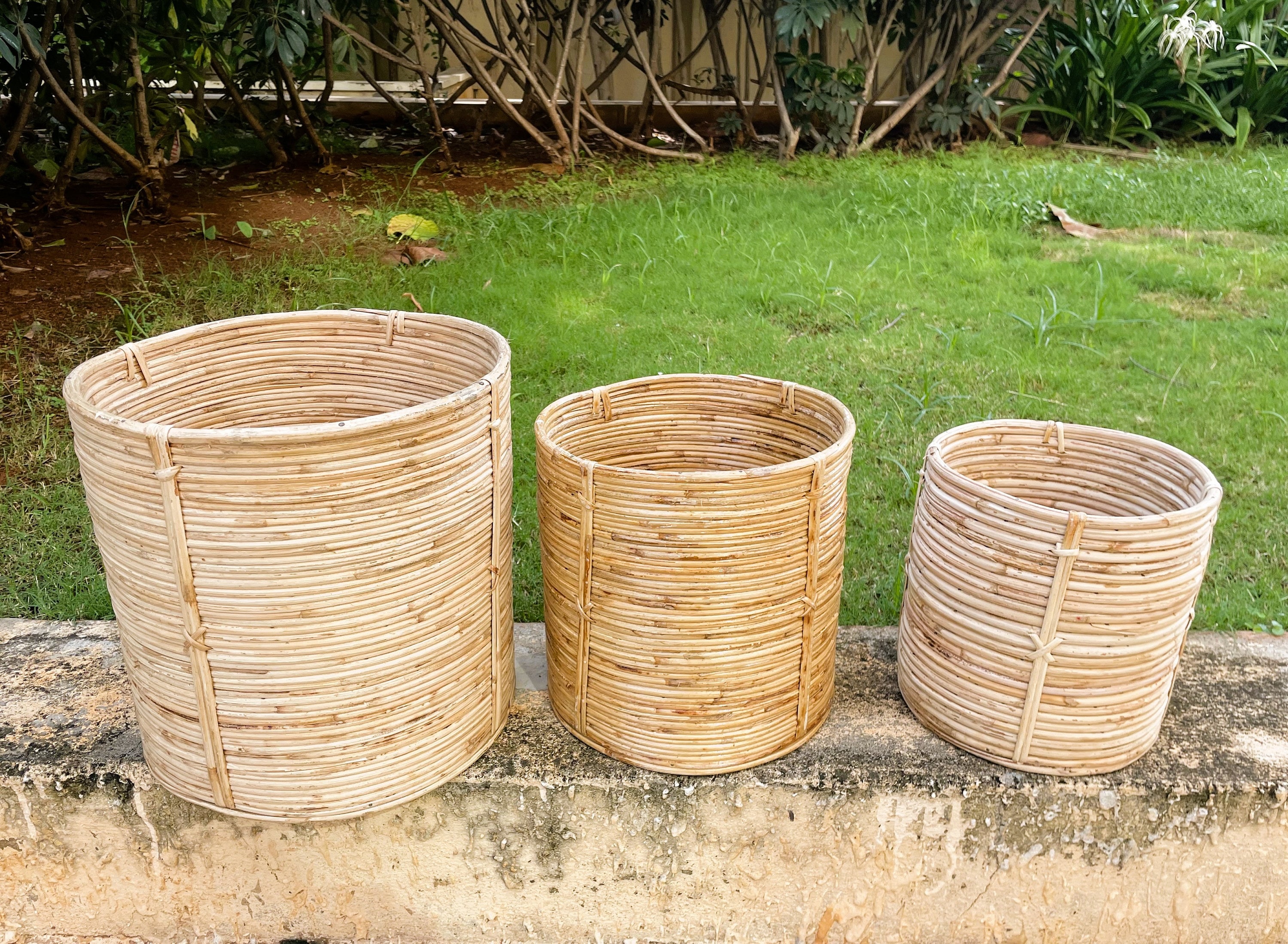 Rattan Planter Set: Versatile, Eco-friendly, and Stylish - 100% Natural ...