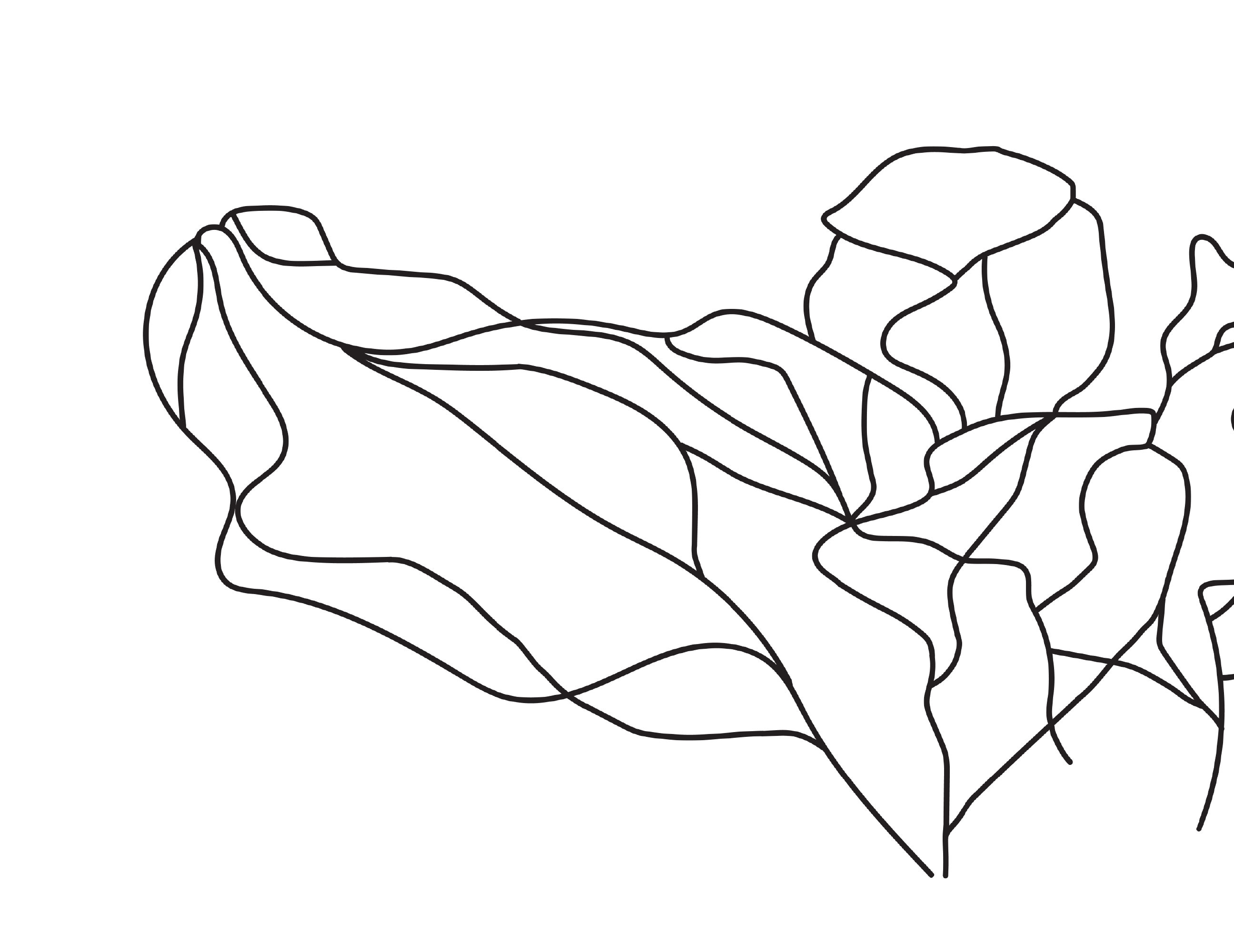 Remarkables Ski Trail Map, Digital Wall Art, Digital Wall Print, Ski ...