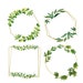 Greenery Border Svg, Png, Eps, Dxf, Jpg, Instant Download - Etsy