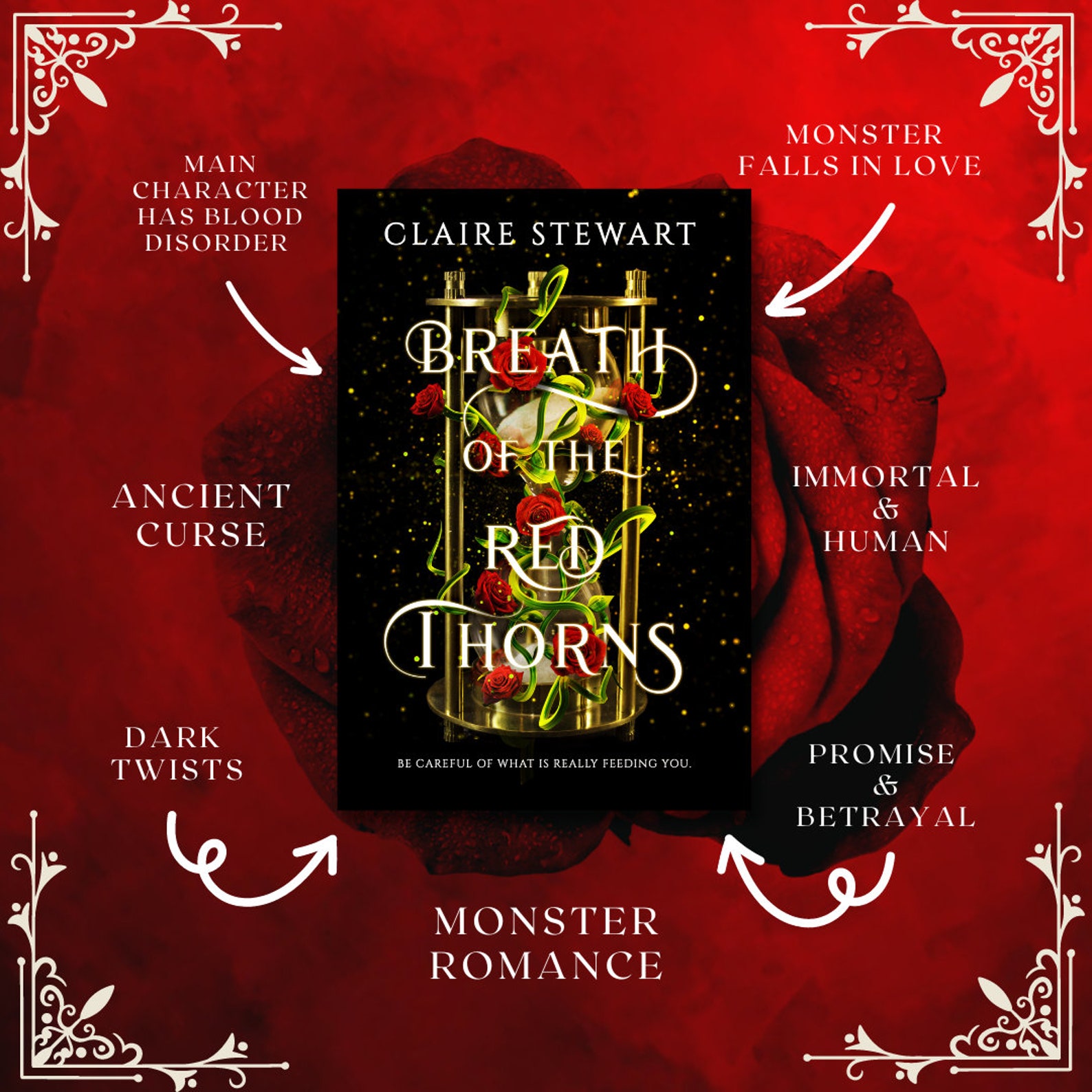 Book Promotion and Marketing Materials, Book Promotion Posts, Book ...