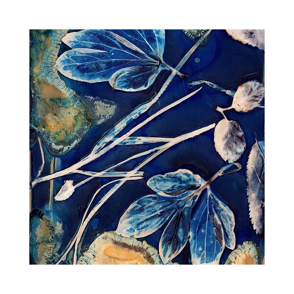 Cyanotype - Etsy UK