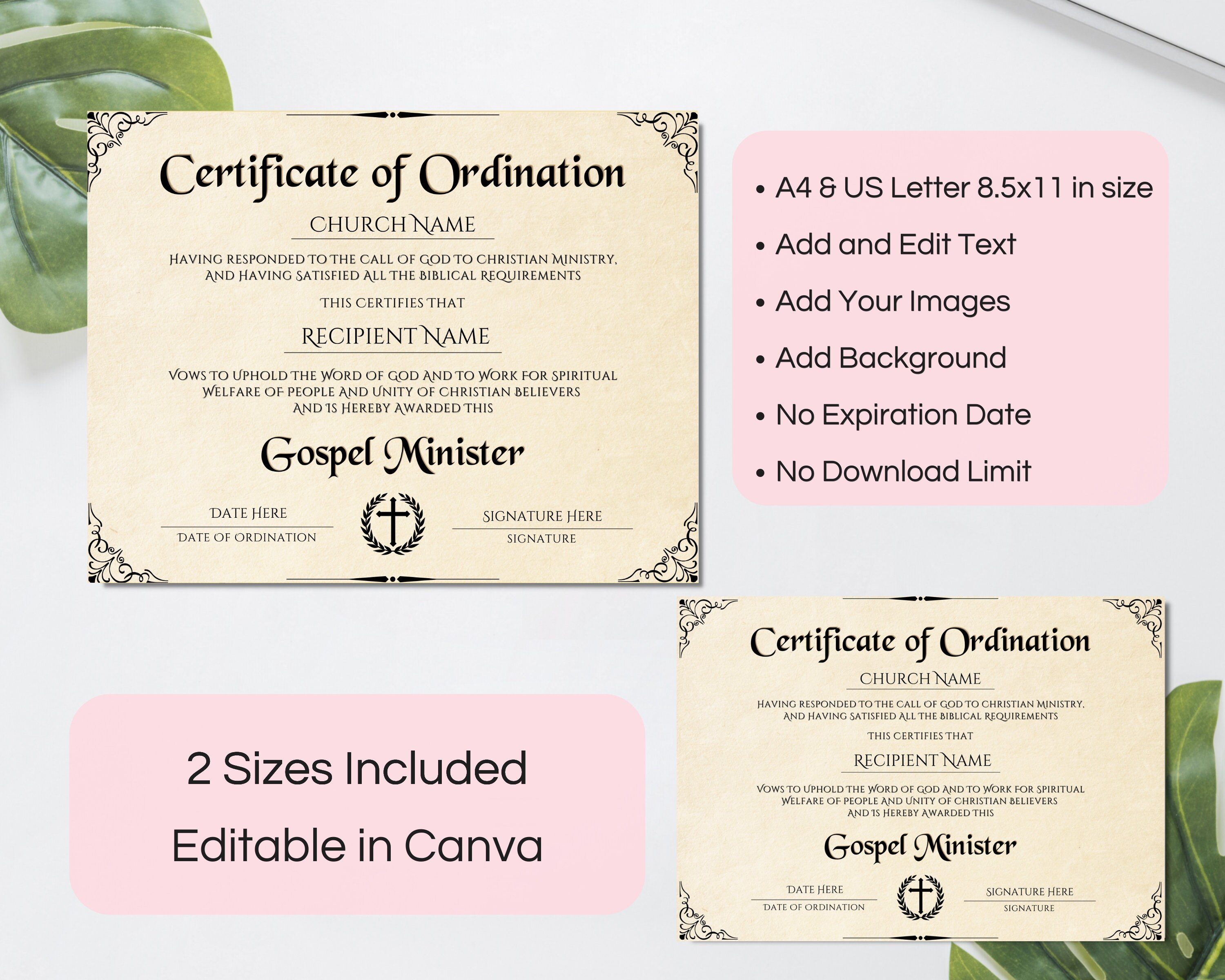 Certificate of Ordination Template Ordained Minister Editable - Etsy