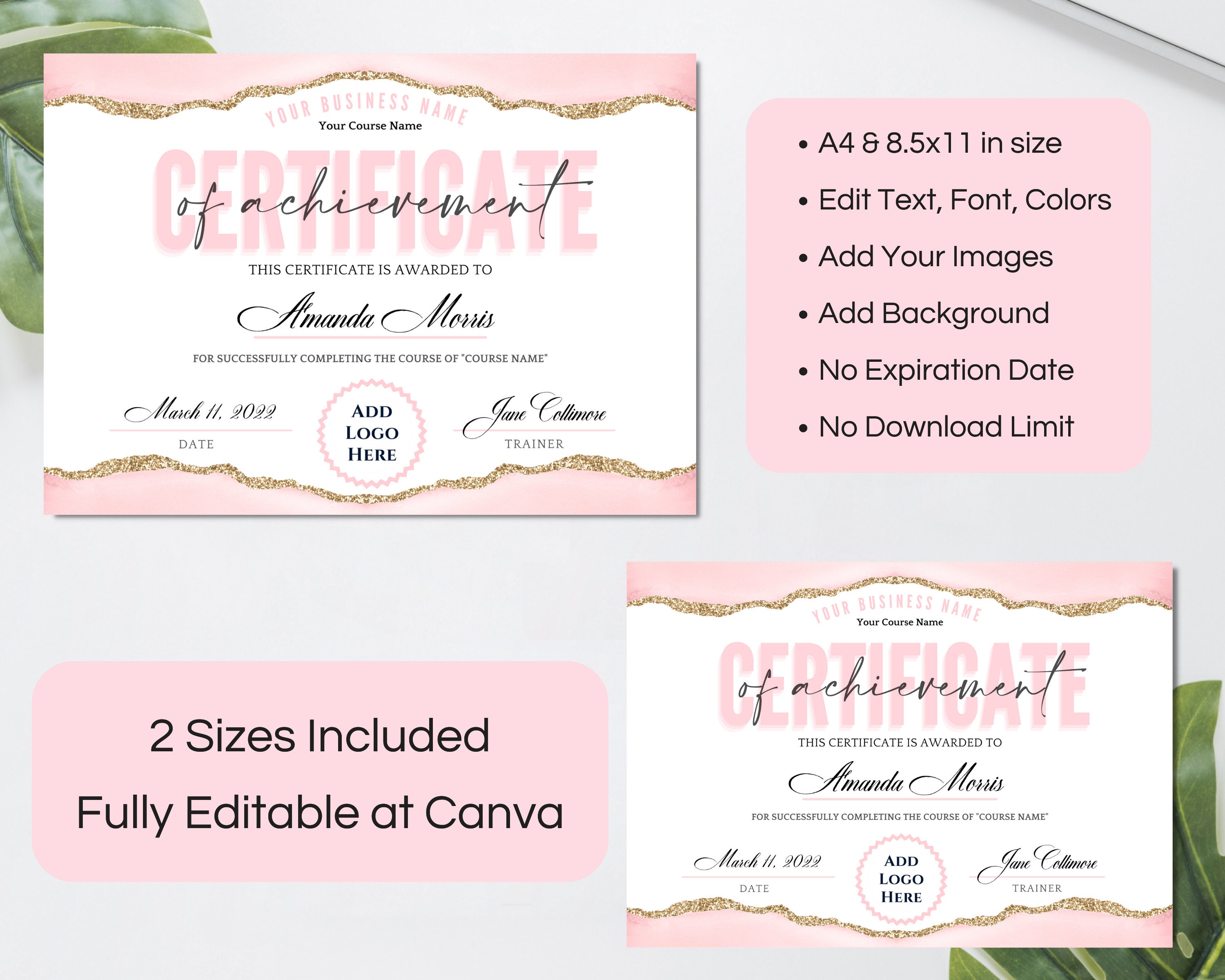 Editable Certificate of Achievement Template Printable - Etsy Canada