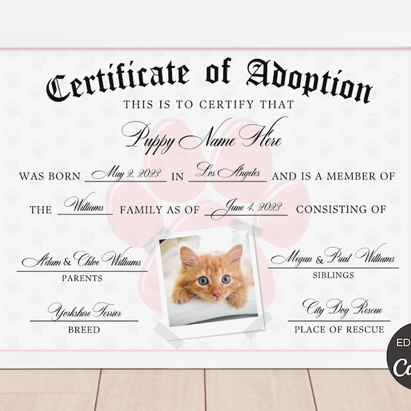 Fake Adoption Certificate - Etsy