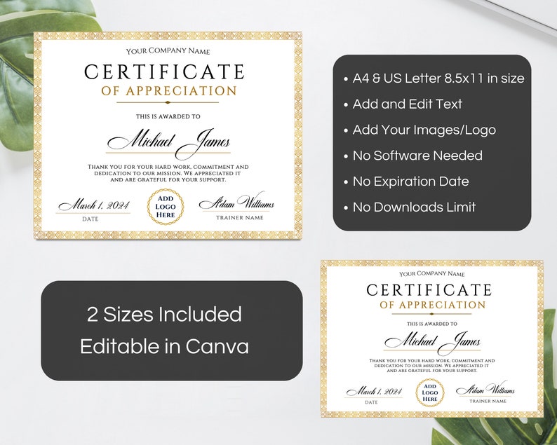Editable Certificate of Appreciation, Printable Appreciation ...