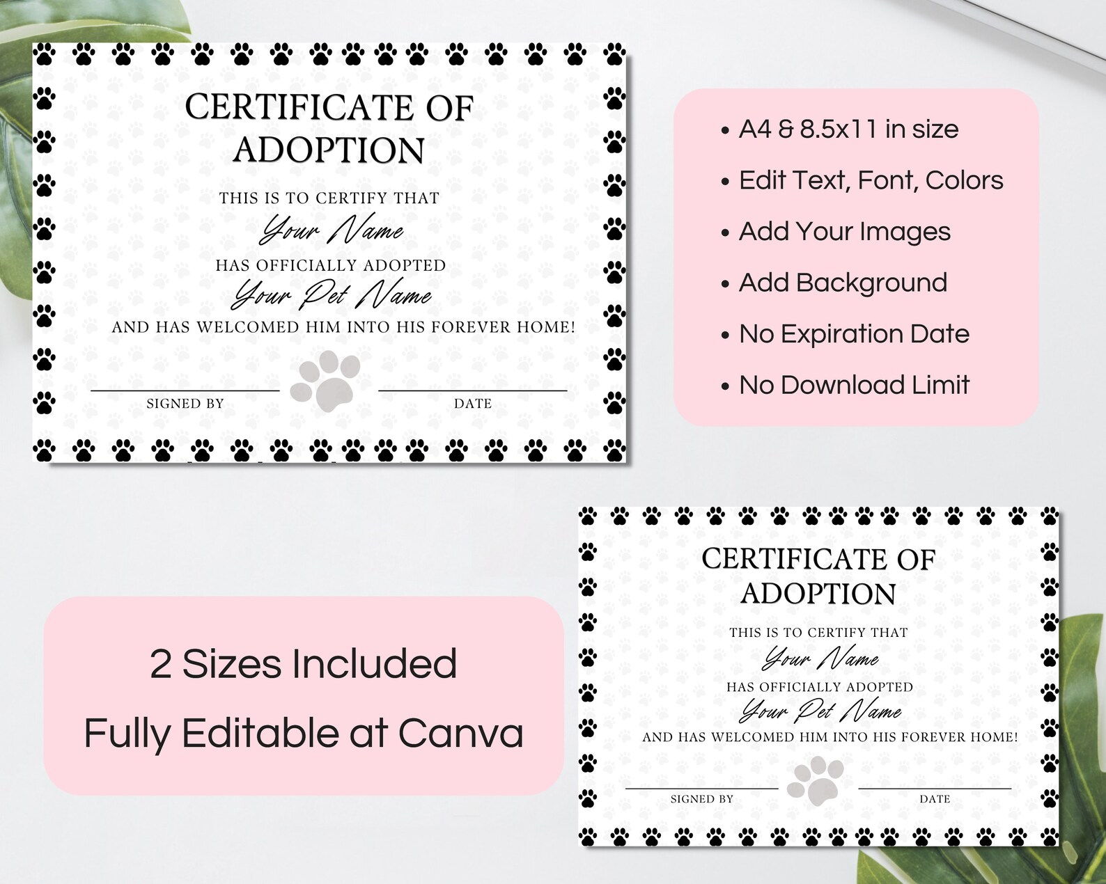 Editable Certificate of Adoption, Printable Pet Adoption Party Gotcha ...
