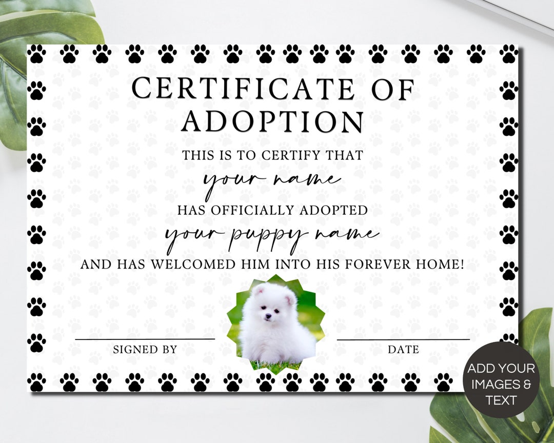 Editable Cat Dog Pet Adoption Certificate, Printable Pet Adoption Party ...