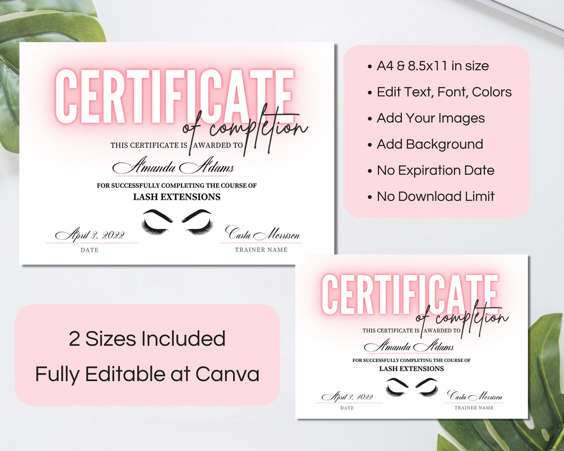 Editable Certificate of Completion Lash Certificate Template - Etsy