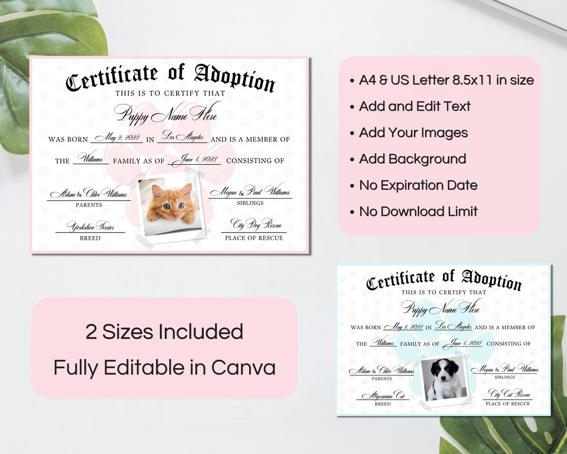 Pet Adoption Certificate Template, Editable Certificate of Adoption ...