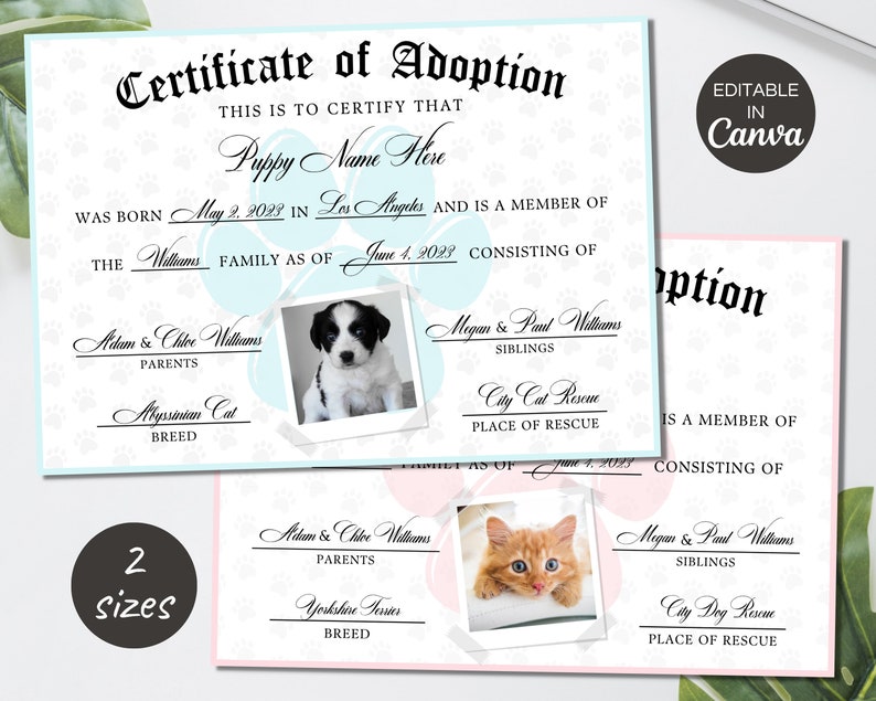 Pet Adoption Certificate Template, Editable Certificate of Adoption ...