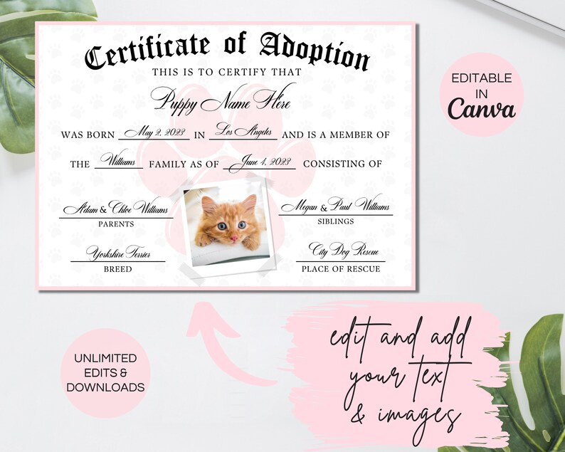 Pet Adoption Certificate Template, Editable Certificate of Adoption ...