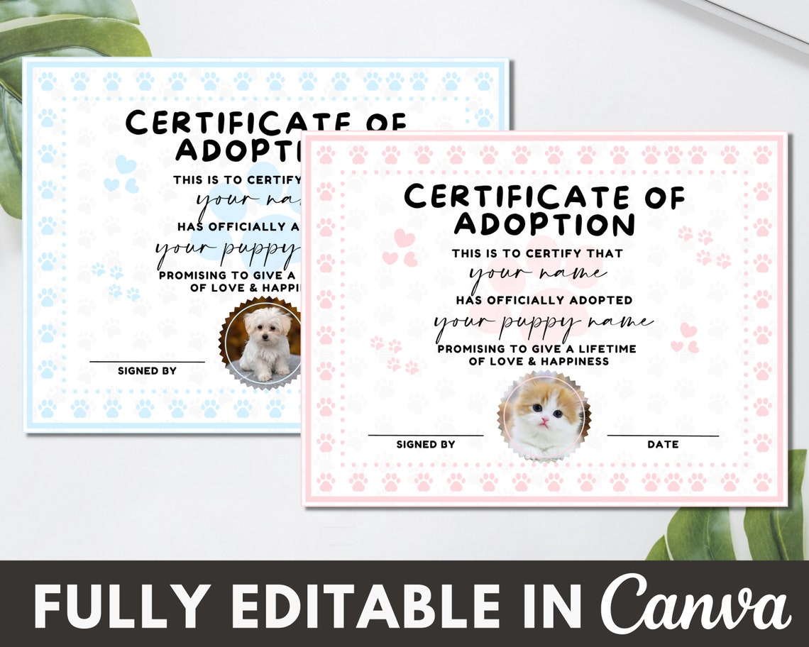 Cat Dog Pet Adoption Certificate, Printable Pet Adoptions Party ...