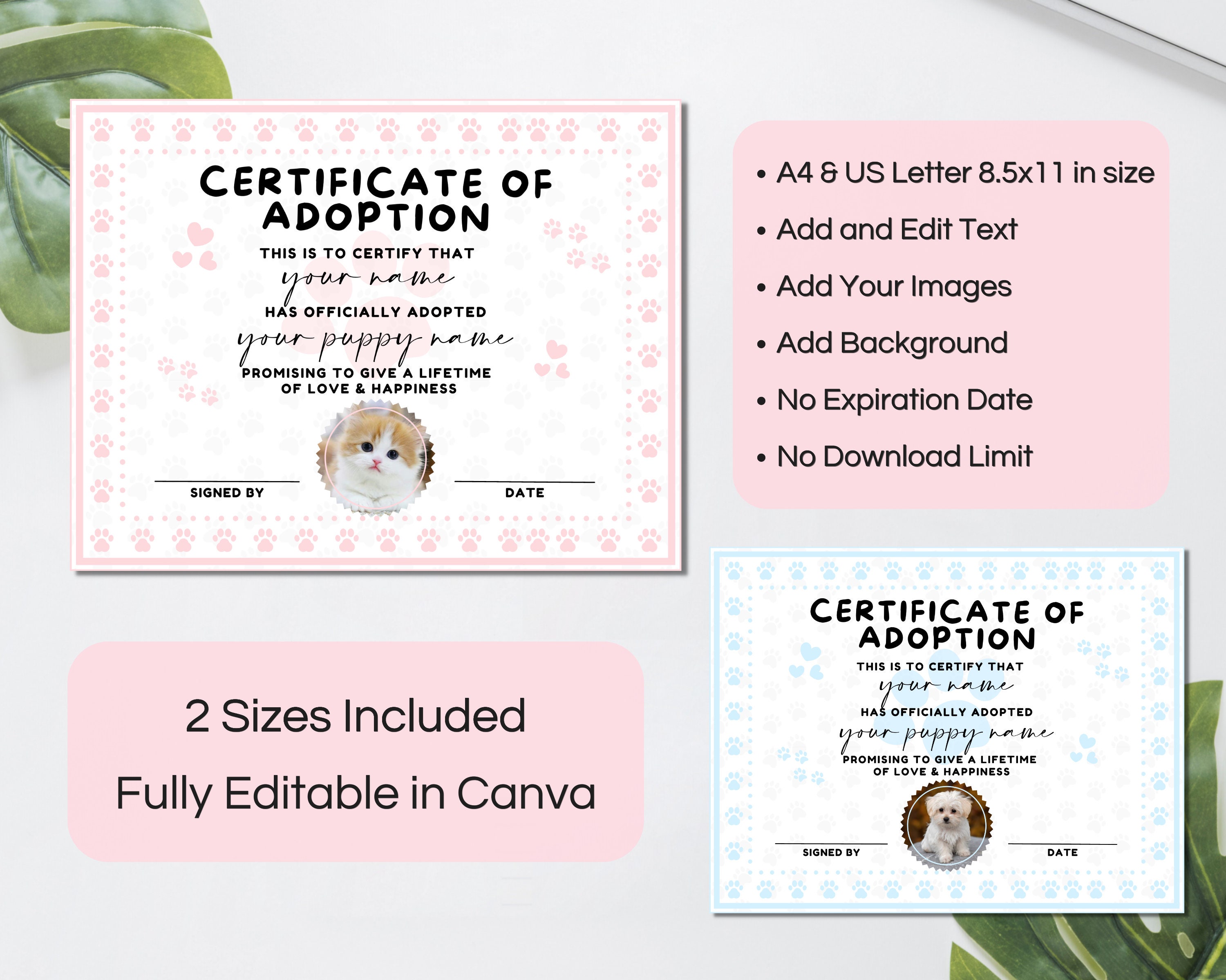 Cat Dog Pet Adoption Certificate, Printable Pet Adoptions Party ...