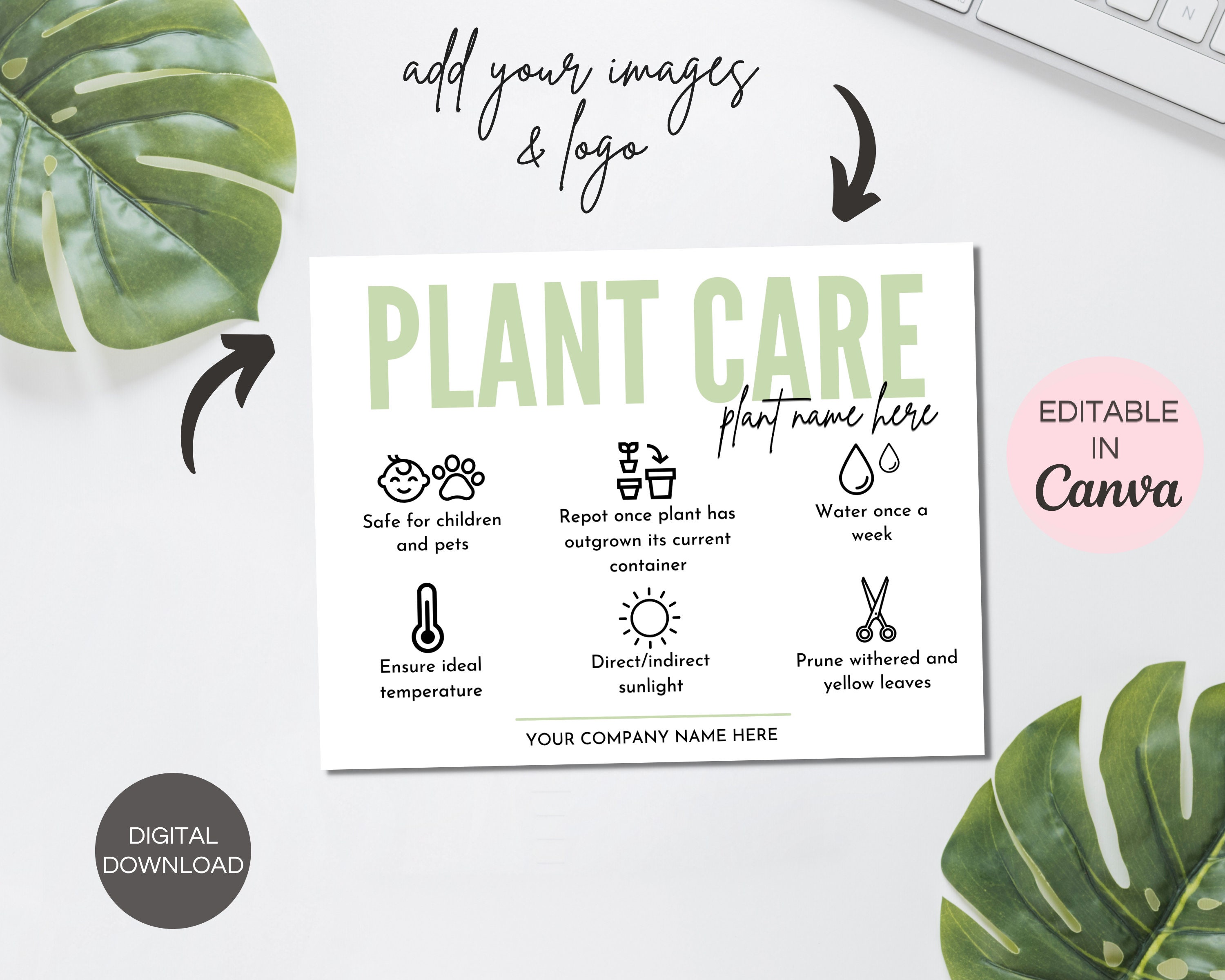 Plant Care Card Template, Editable Plant Care Guide, Printable ...