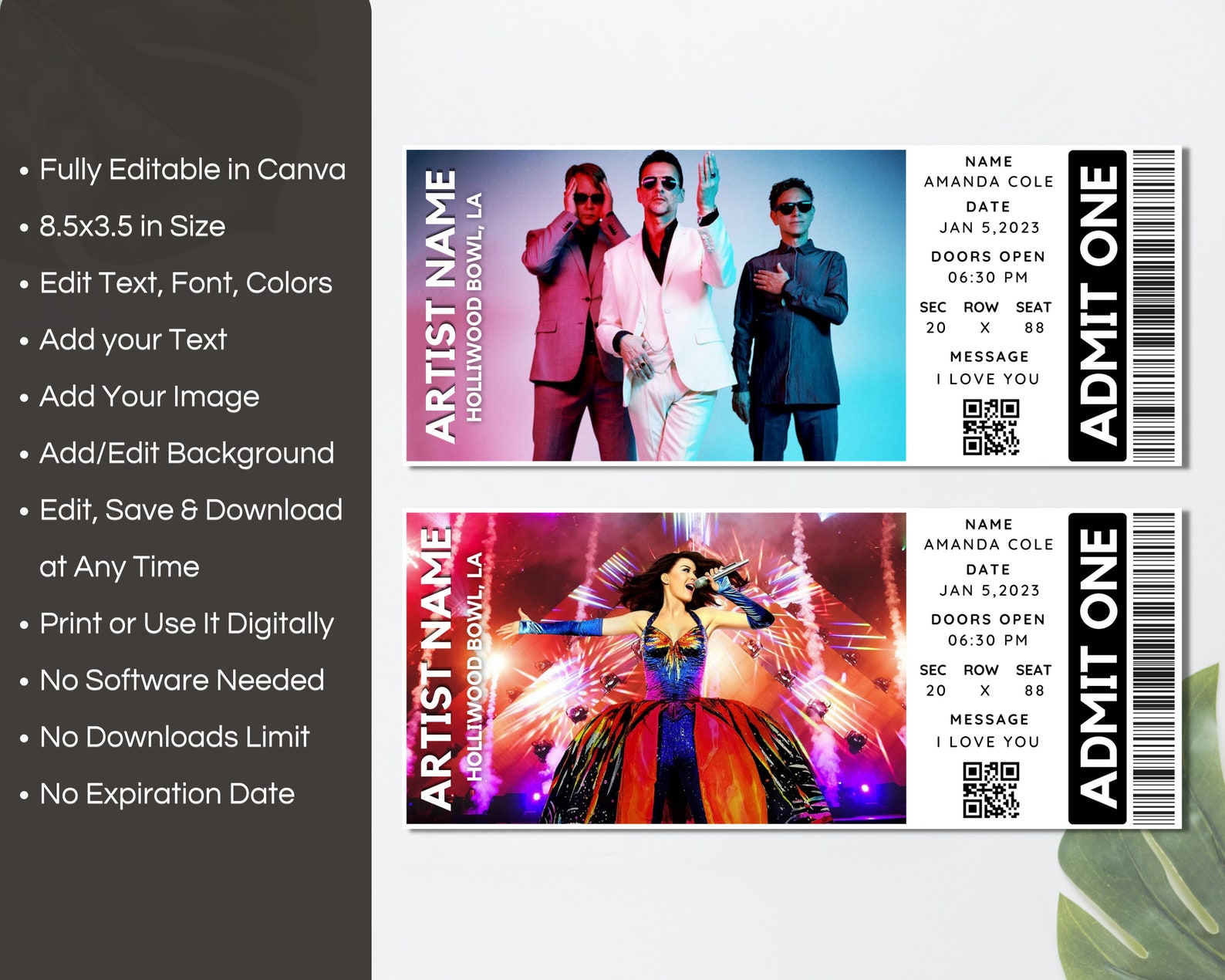 Editable Concert Ticket Template Printable Event Ticket - Etsy