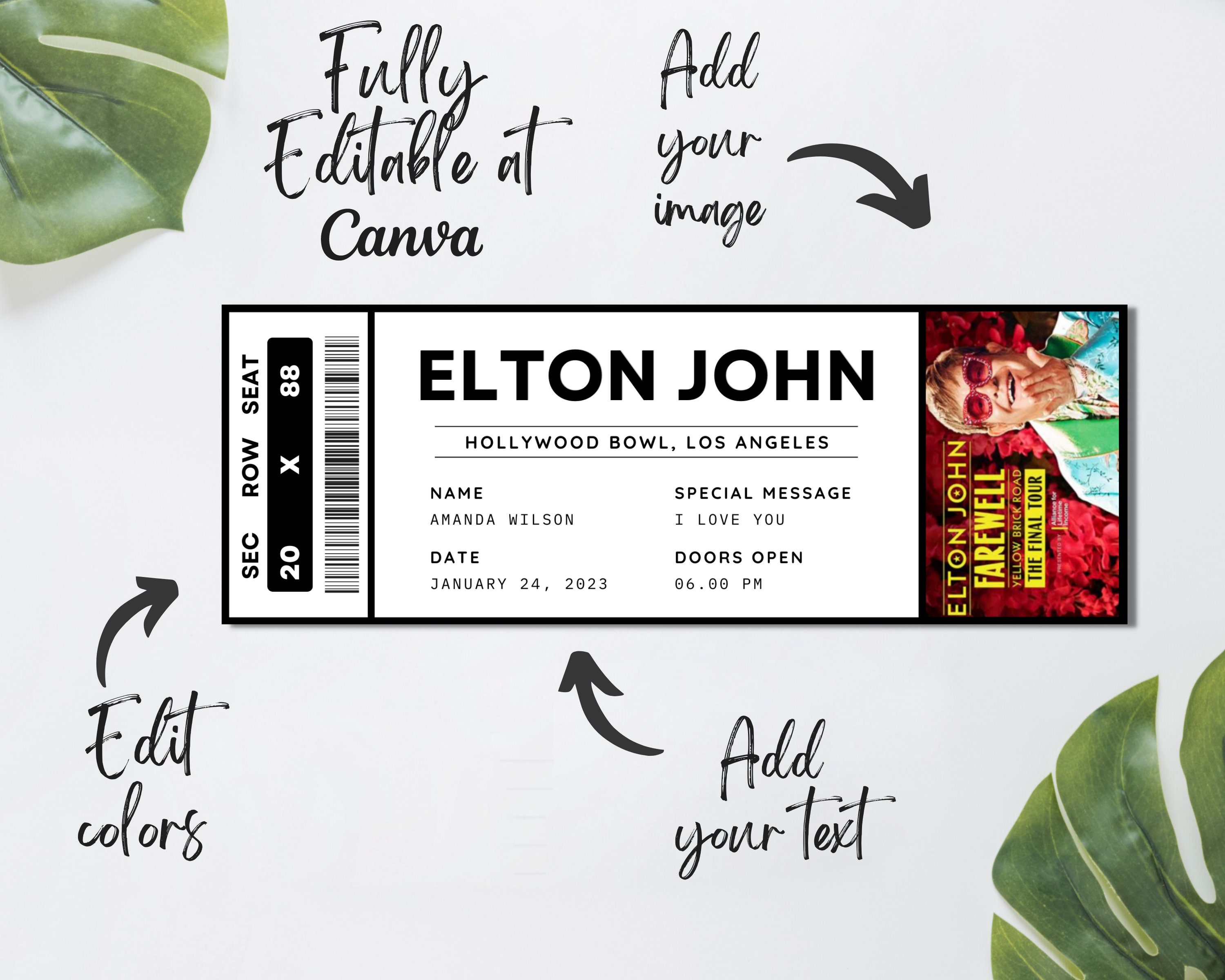 Concert Ticket Template Editable Event Ticket Canva Template - Etsy Canada