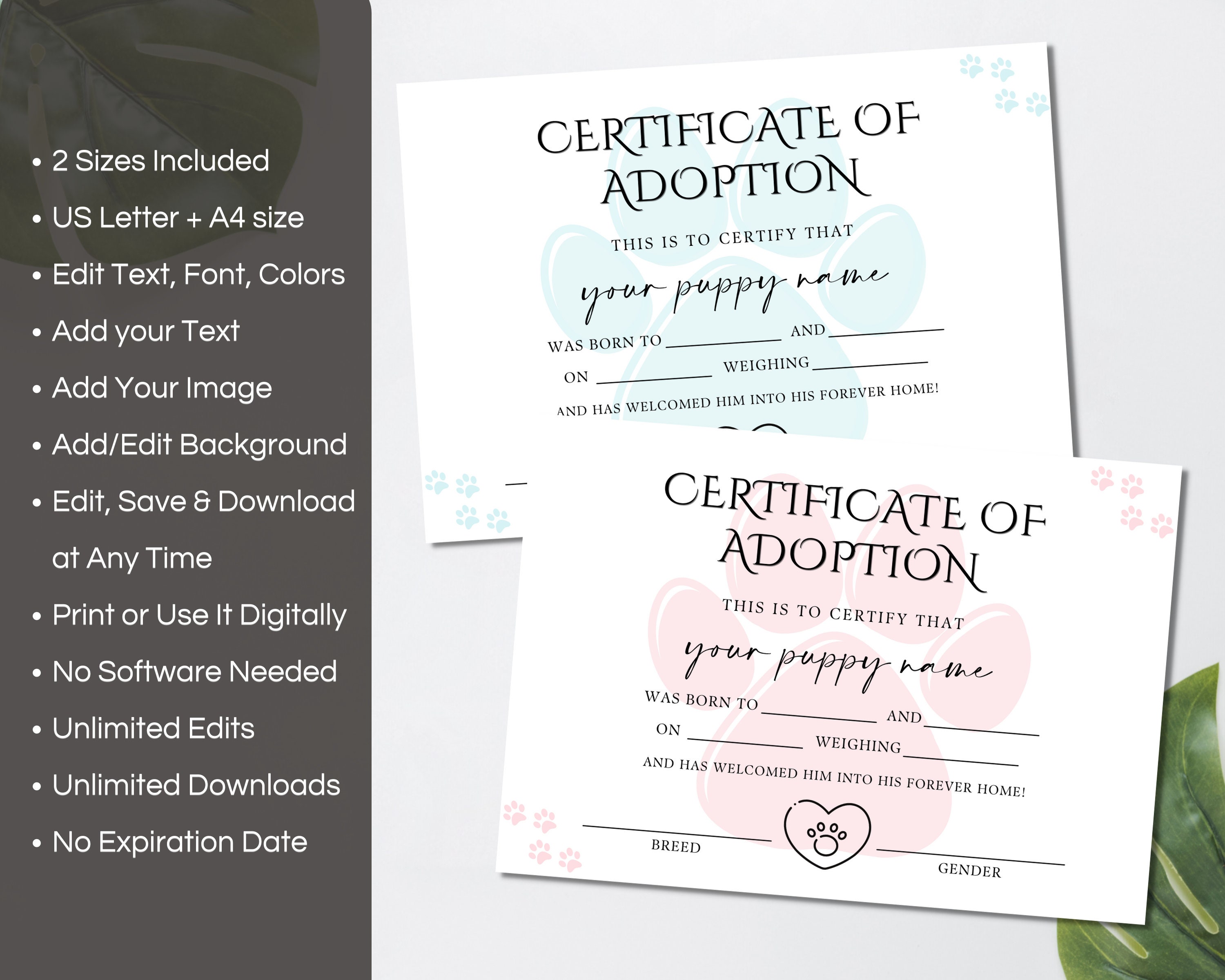 Editable Cat Dog Pet Adoption Certificate Printable Pet - Etsy