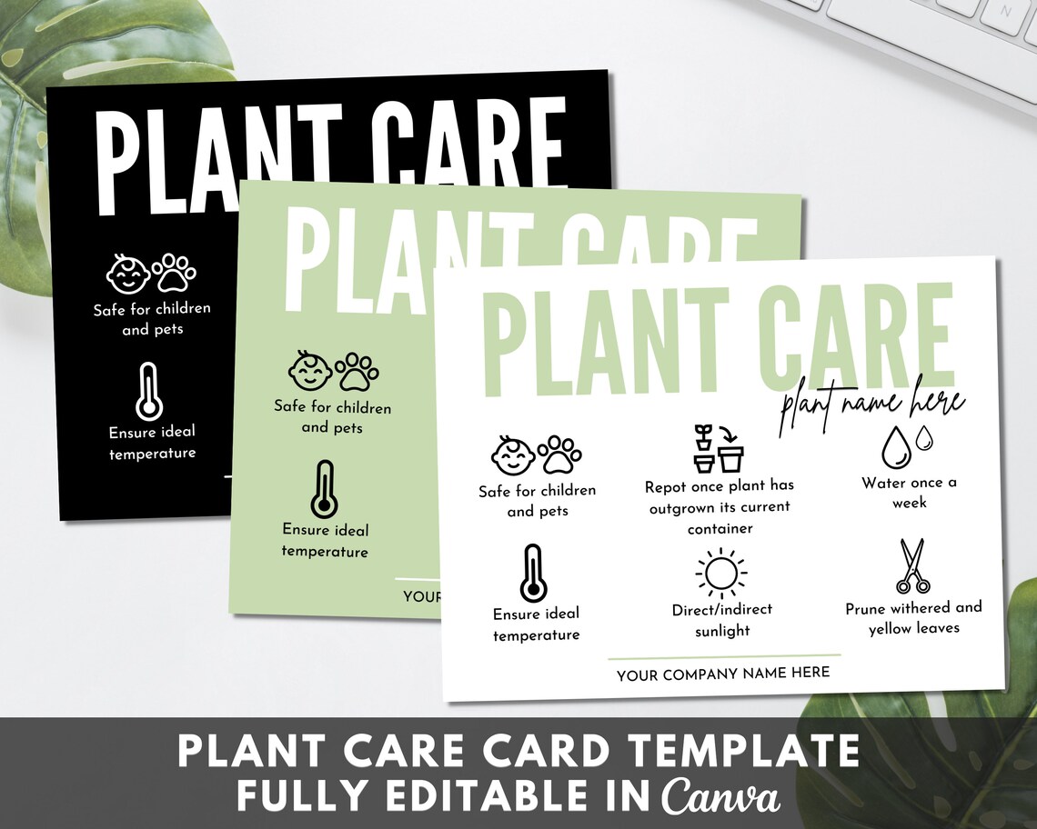 Plant Care Card, Printable Plant Succulent Instructions Cards, Editable ...