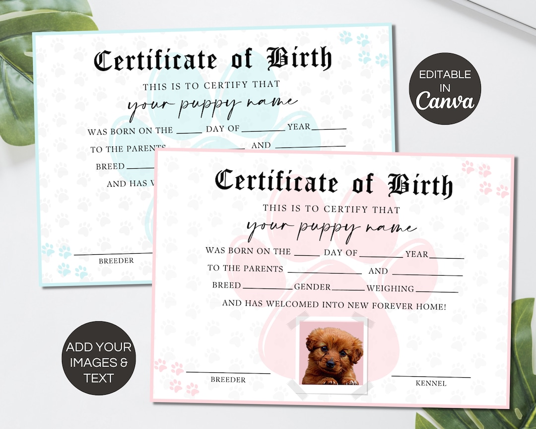 Puppy Birth Party Certificate, Editable Puppy 1st Birthday Certificate ...