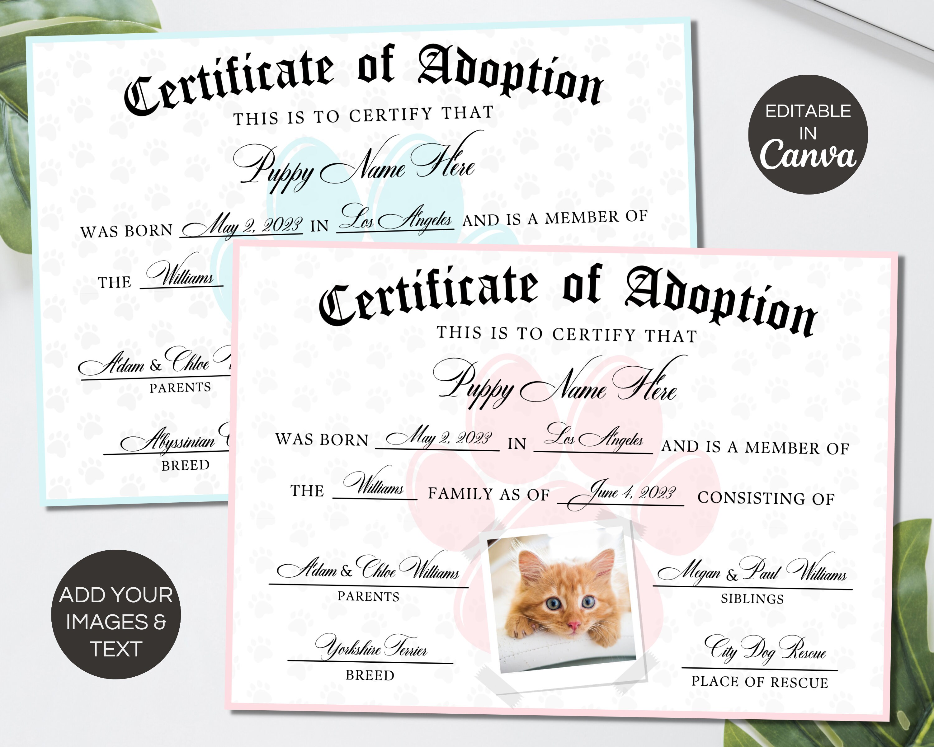 Pet Adoption Certificate Template, Editable Certificate of Adoption ...