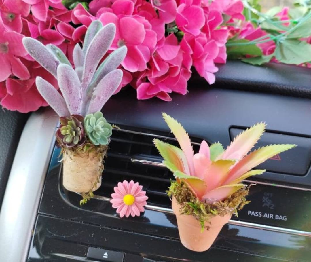 Succulent 1 Plant & a Free Daisy Vent Clip-car Accessories-car - Etsy