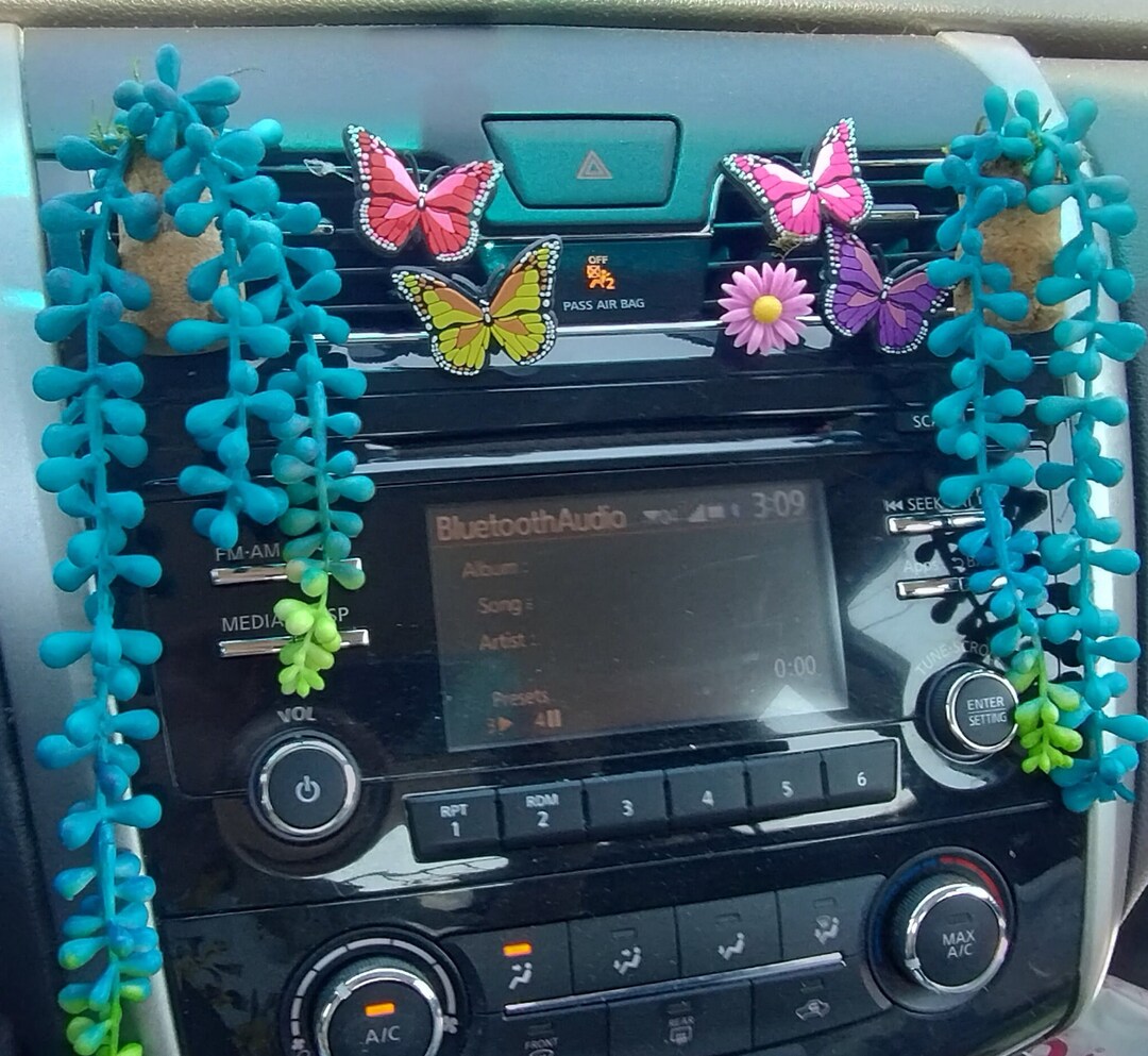 CAR AIR FRESHENER 1 Succulent String of Pearls Plant & a - Etsy