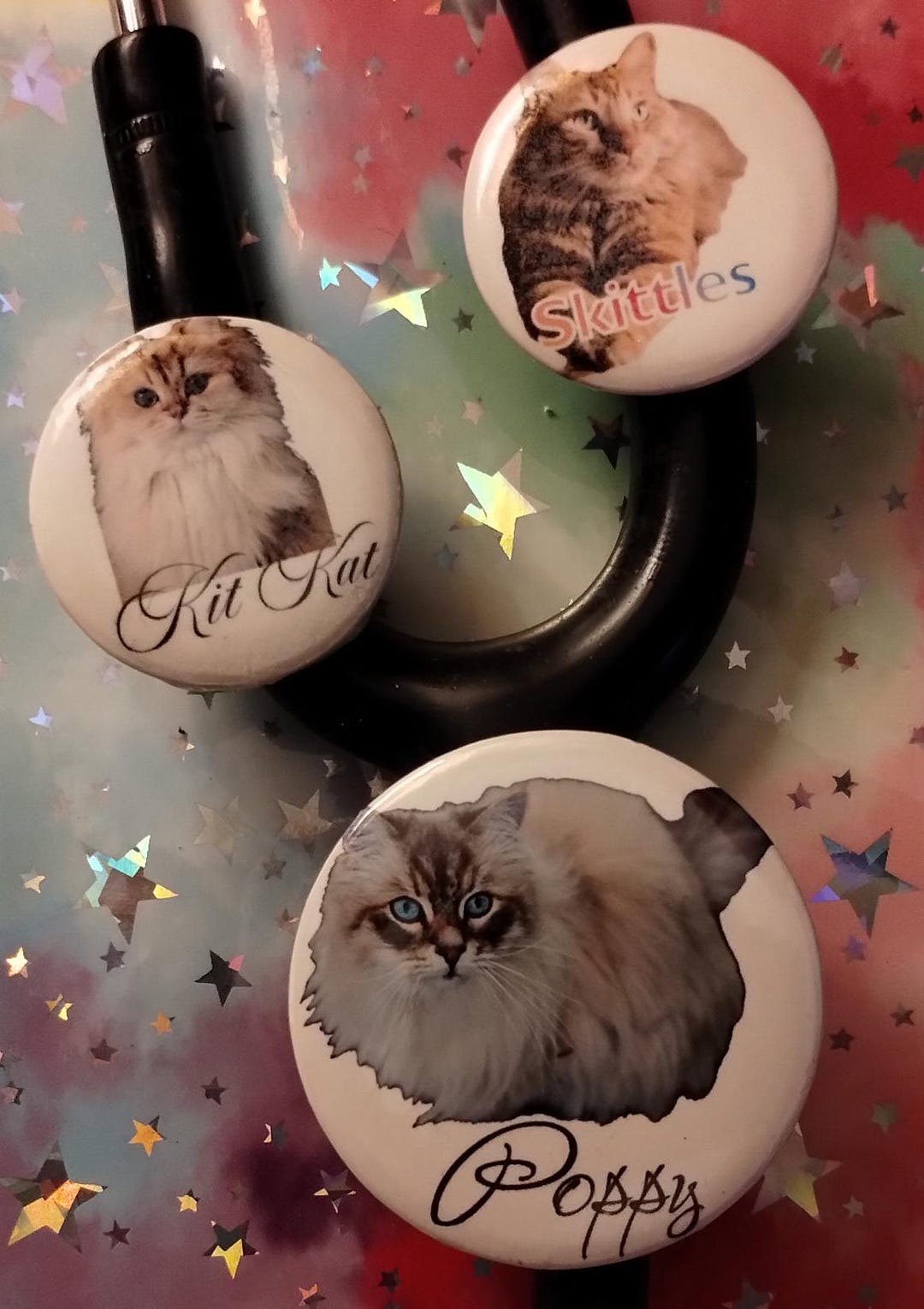 CATS Cat Small Photo Stethoscope Charm-add Some Fun to Your Stethoscope ...
