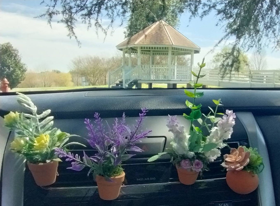 CAR AIR FRESHENER clay Pot 1 Succulent Plant & a Free Daisy Vent Clip ...