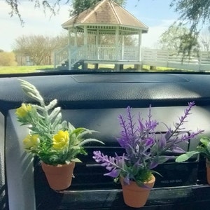 CAR AIR FRESHENER clay Pot 1 Succulent Plant & a Free Daisy Vent Clip ...