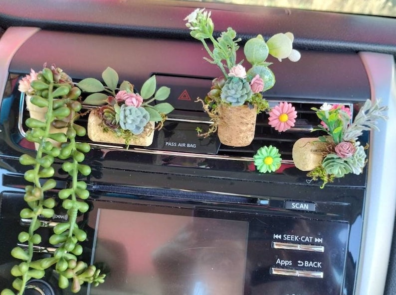 CAR AIR FRESHENER - 1 Succulent String of Pearls Plant & a Free Daisy ...