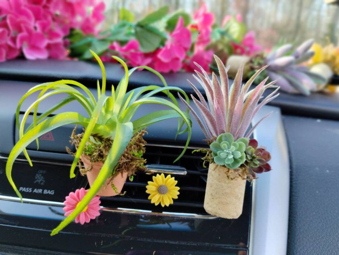 CAR AIR FRESHENER 1 Succulent Plant & a Free Daisy Vent Clipcar ...