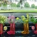Car Air FRESHENER 1 COWBOY BOOT Succulent Plant & a Free Daisy Vent ...
