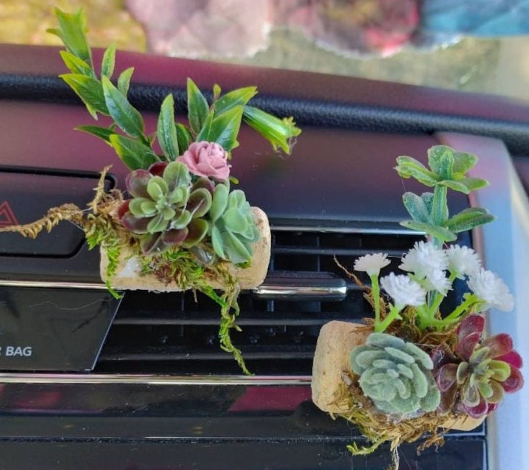 CAR AIR FRESHENER -2-pieces 1 Daisy Flower & 1 Succulent Plant Vent ...