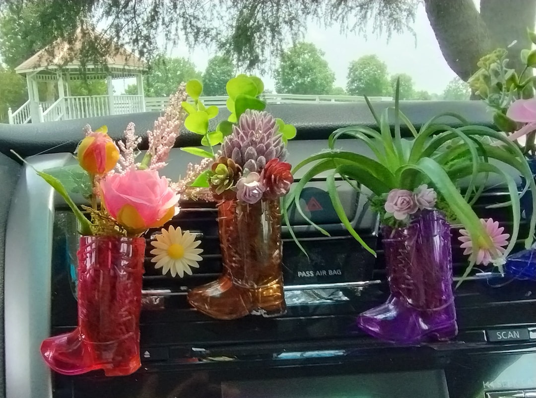 Car Air FRESHENER 1 COWBOY BOOT Succulent Plant & a Free Daisy Vent ...